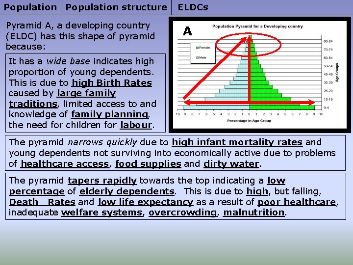 Population Describing population structure population structures vary with