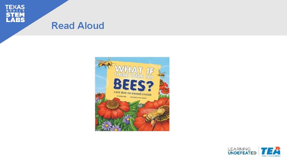 What If There Were No Bees This Photo