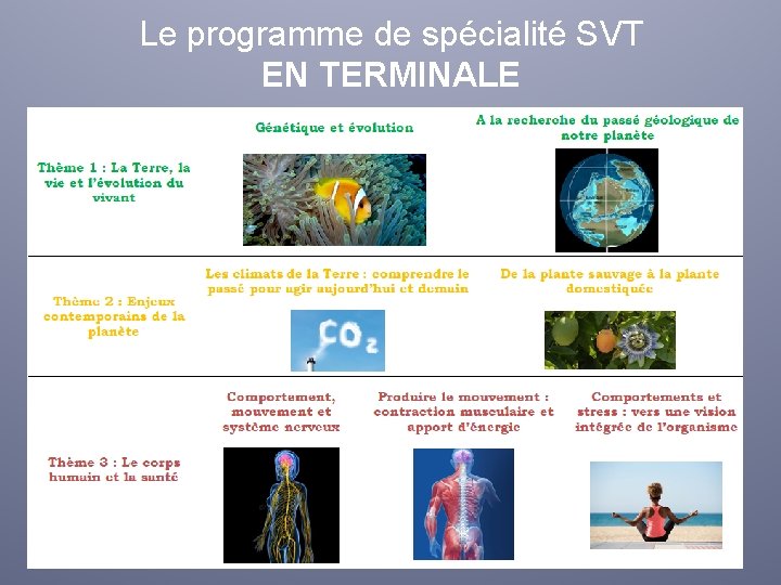 Lyce Lon Blum de Crteil Prsentation de la