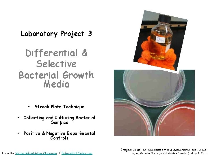About Science Prof Online Power Point Resources Science