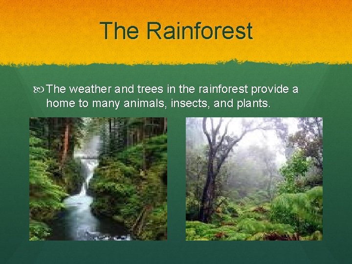 Habitats What is a Habitat A habitat is