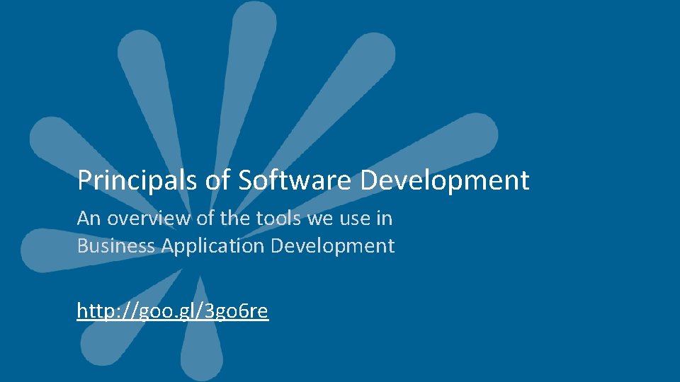 Software Development An overview of careers in Business