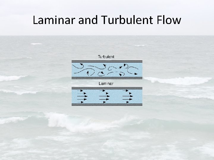 Water Movements Laminar and Turbulent Flow Reynolds Number