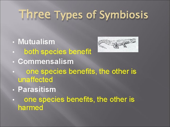 SYMBIOSIS Living Together Recap What are invasive species