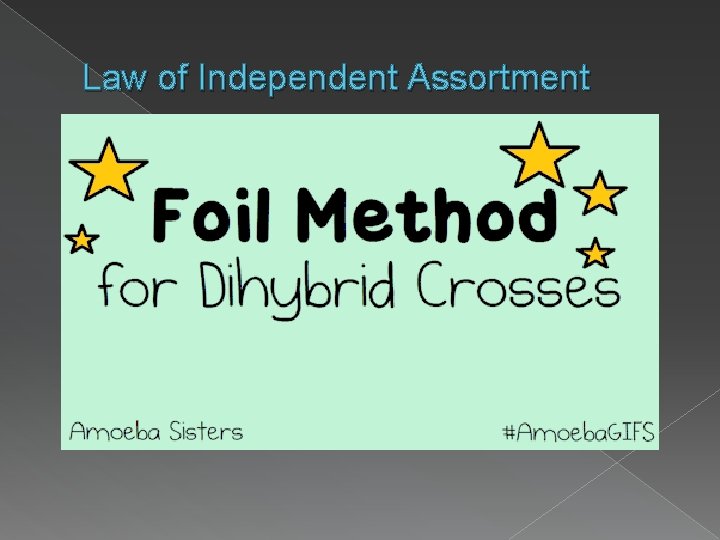 Day 3 Dihybrid Cross Mendelian Inheritance Part 2