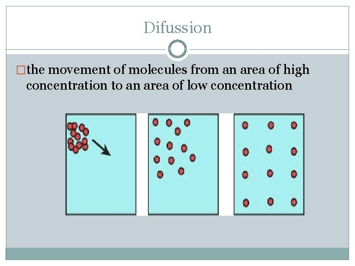 Diffusion Lab DIFFUSION IN A BAGGIE Prelab Demonstrations