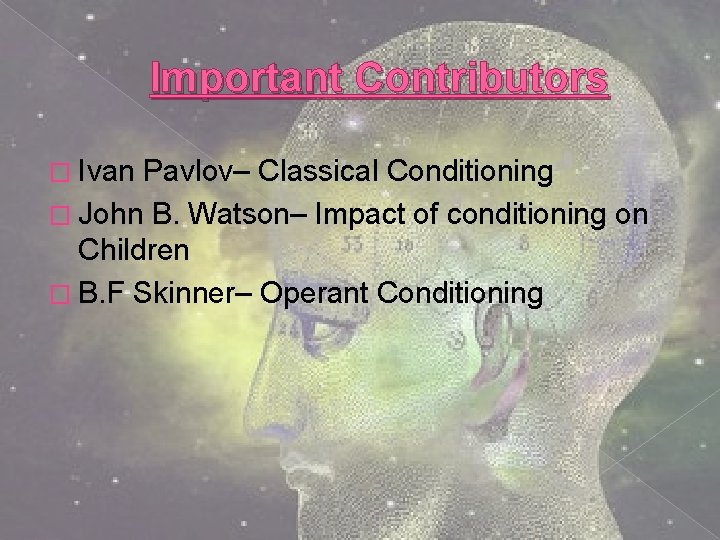 INTRODUCTION TO PSYCHOLOGY Quratulaain Lecturer BZU Lahore campus