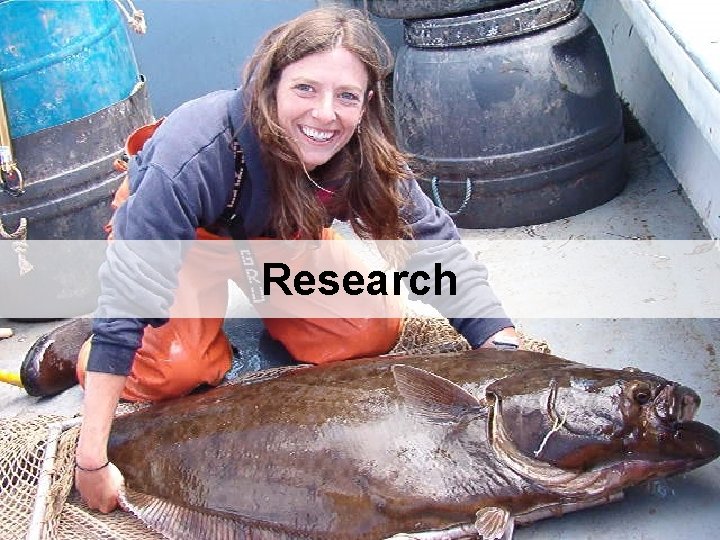 Overview of Atlantic Halibut Research and Fishery Introduction
