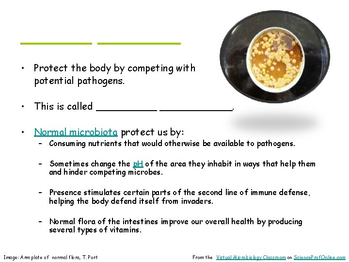 About Science Prof Online Power Point Resources Science