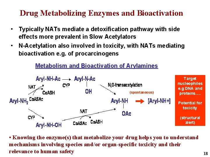 Predicting Human Drug Metabolism and Pharmacokinetics in Drug Predicting Human Drug Metabolism and Pharmacokinetics in Drug