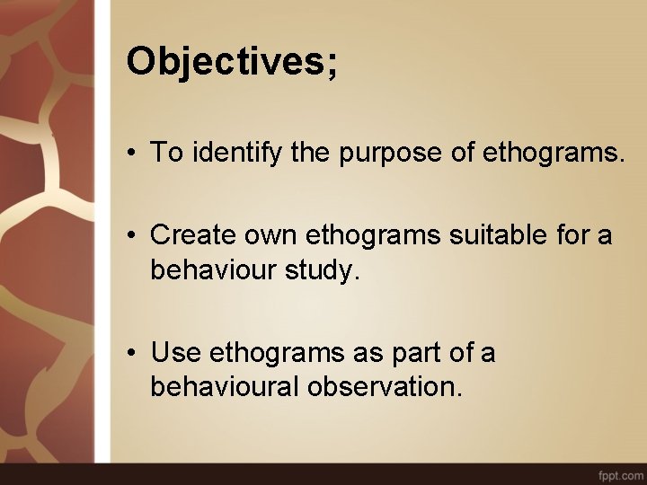 305 Animal Behaviour Communication Lesson 7 Behaviour Studies