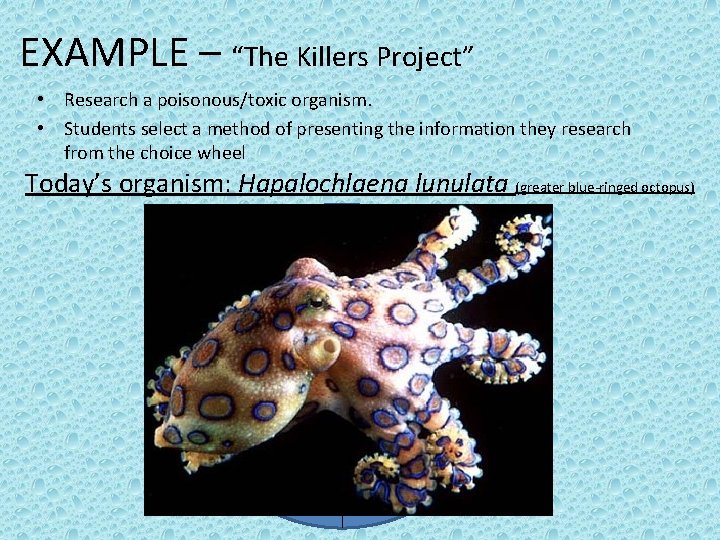 CHOICE BOARDS Fitch Sergent and Stout What are