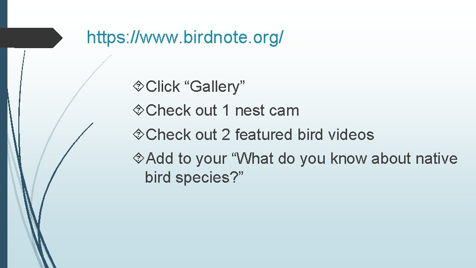 What makes a bird a native species Write