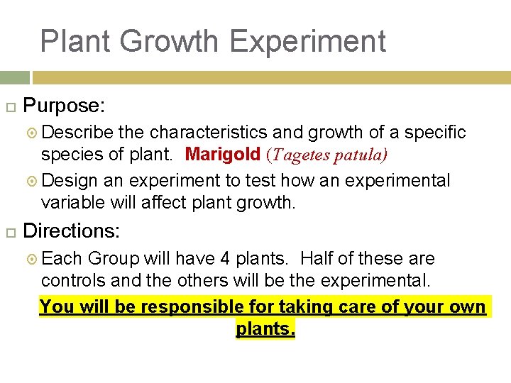 PLANTS Chapter 22 24 BIOLOGY Plant Growth Experiment