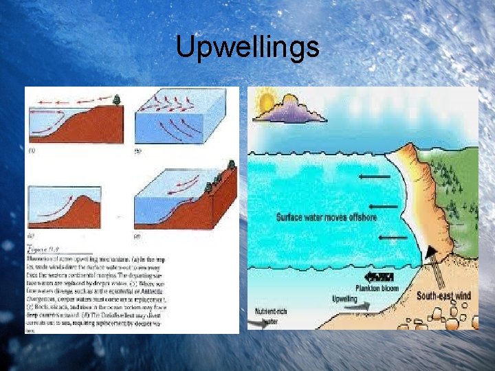 Oceans By Gina Wike Origin Composition of Ocean