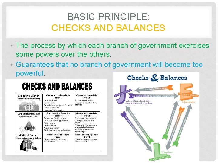 THE CONSTITUTION CHAPTER 3 BASIC PRINCIPLES CHAPTER 3