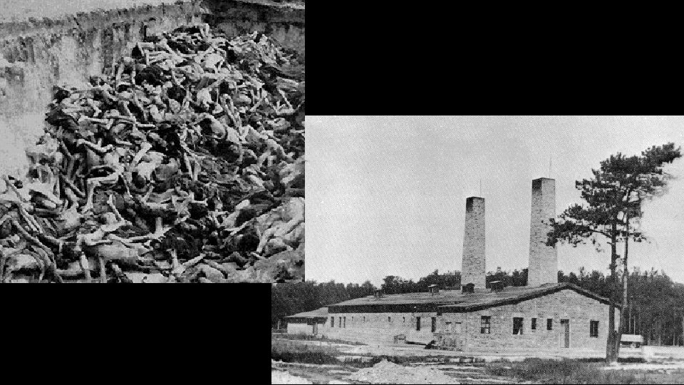 Night By Elie Wiesel WWII 1939 1945 The