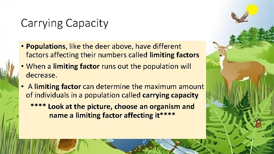 Abiotic and Biotic Factors Carrying Capacity Outcome 1