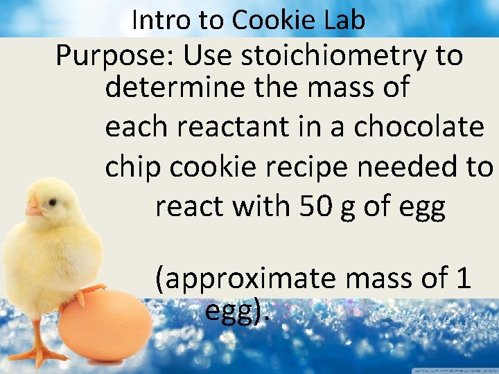 Intro to Cookie Lab ON A SEPARATE SHEET