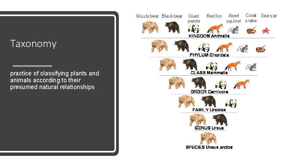 Unit 2 Heredity and Classification Section 1 Vocabulary