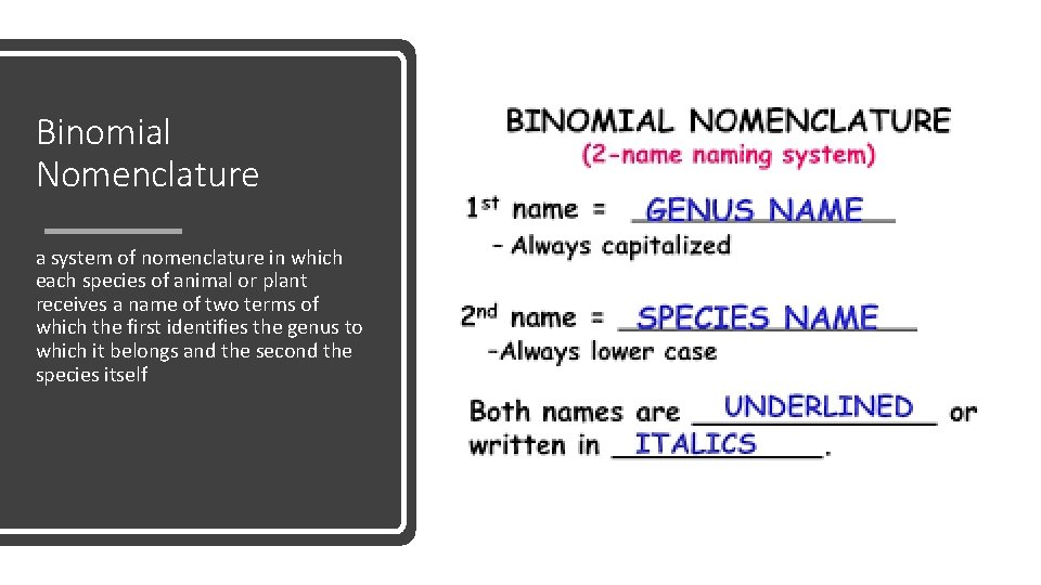 Unit 2 Heredity and Classification Section 1 Vocabulary