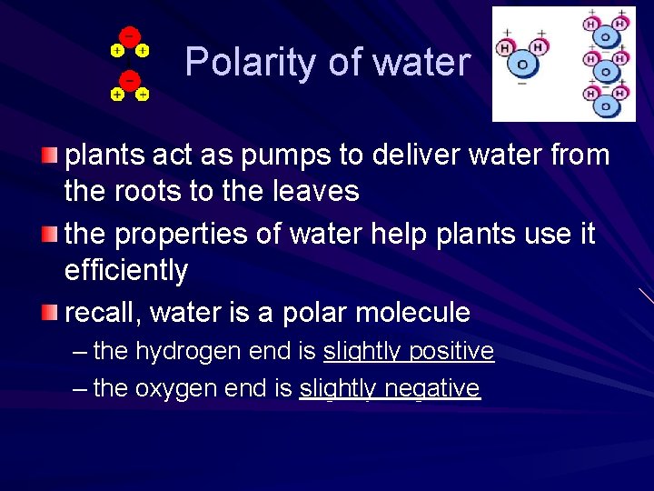 Science 10 Unit C BIOLOGY Chapter 3 Plants