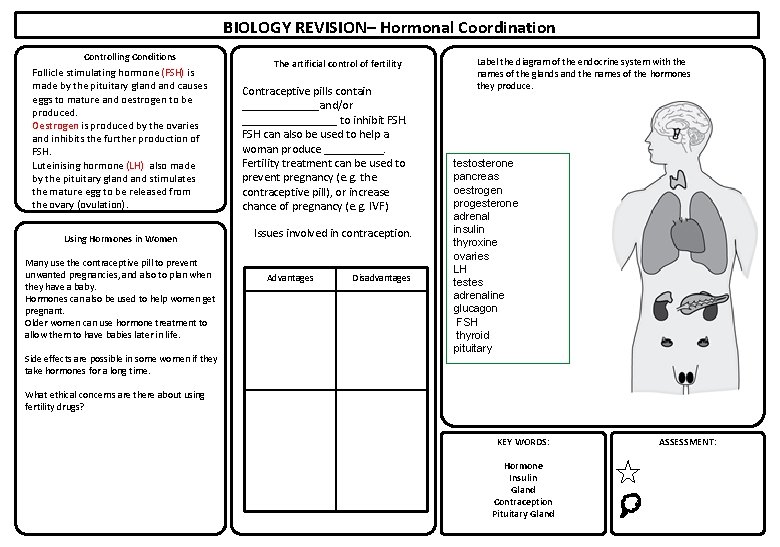 BIOLOGY REVISION The Human Nervous System Responding to