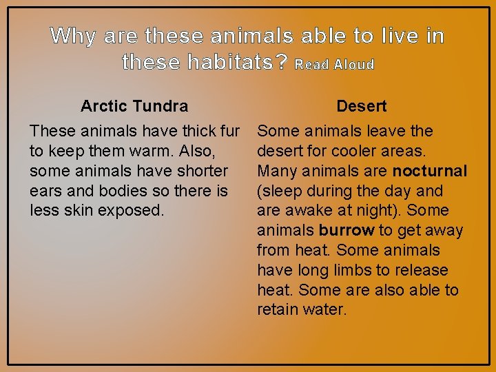 Interactions Within Habitats Life Science Grade 2 Sarah