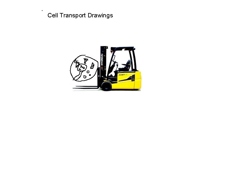 Cell Transport Cell Transport Moving substances across a