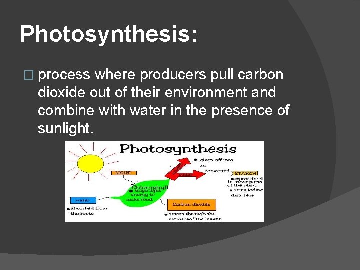 BIOGEOCHEMICAL CYCLES VOCABULARY Law of Conservation of Mass