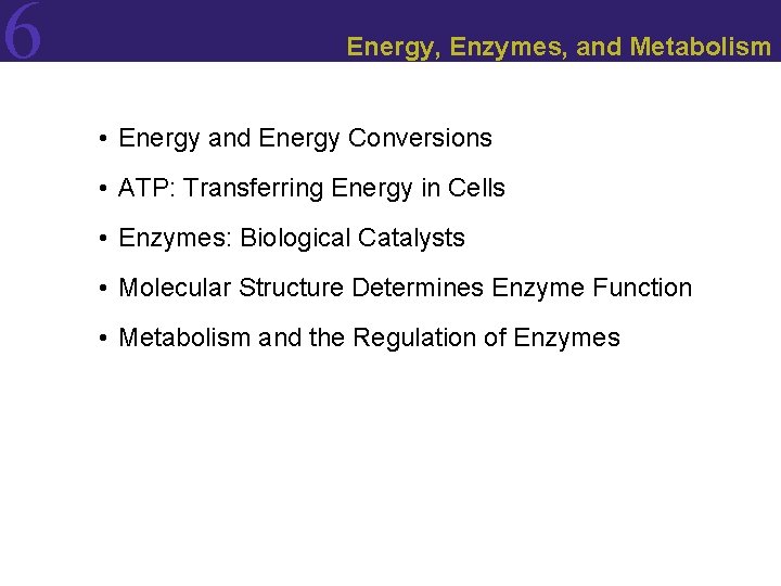 6 Energy Enzymes and Metabolism 6 Energy Enzymes