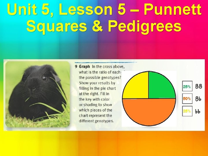 Learning Objectives I can use a Punnett Square