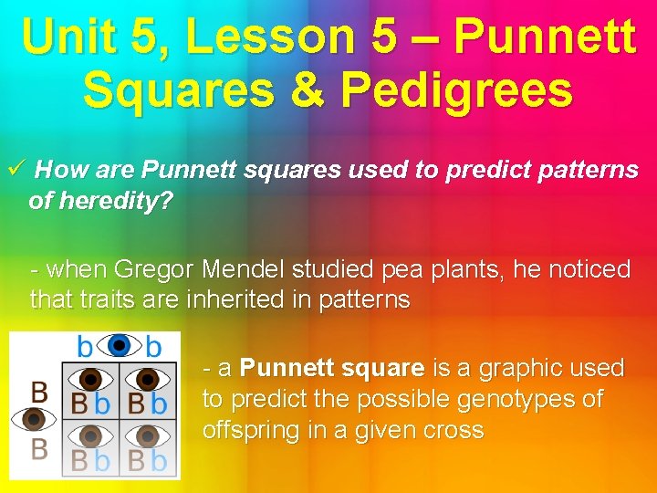 Learning Objectives I can use a Punnett Square