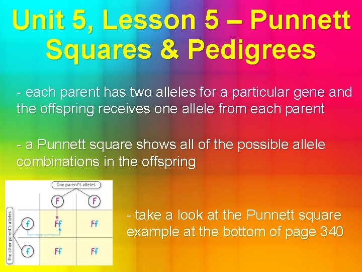 Learning Objectives I can use a Punnett Square