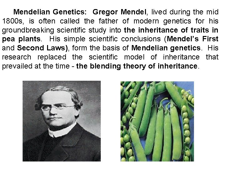 LAB 10 Genetics the Principles of Mendelian Genetics