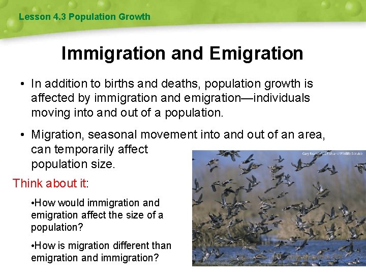 Lesson 4 3 Population Growth Catalyst Vocabulary Terms