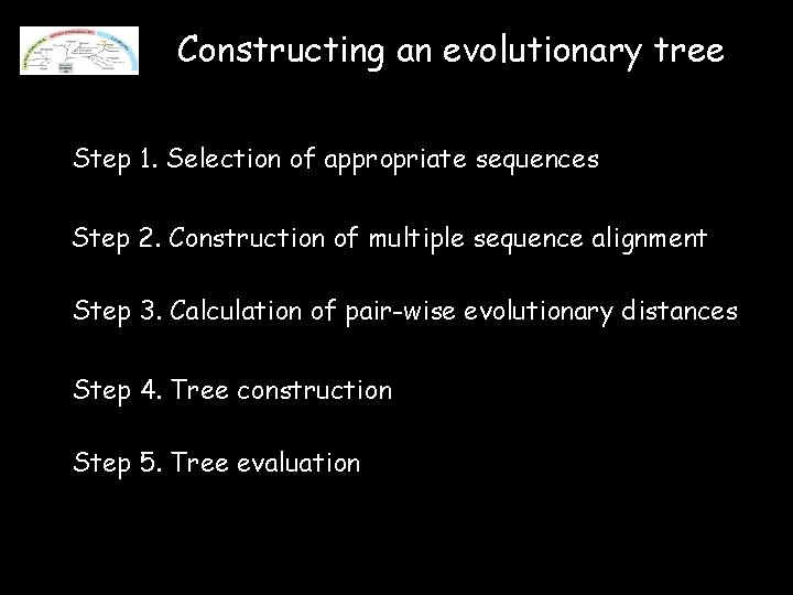 BI 420 Introduction to Bioinformatics Phylogenetic Analysis Gabor