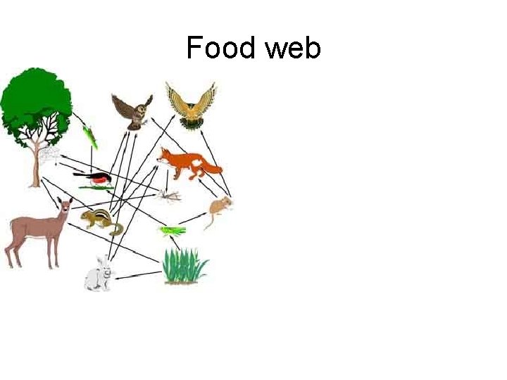 Ecosystems Abdulhafez Selim MD Ph D Ecosystem Organisms