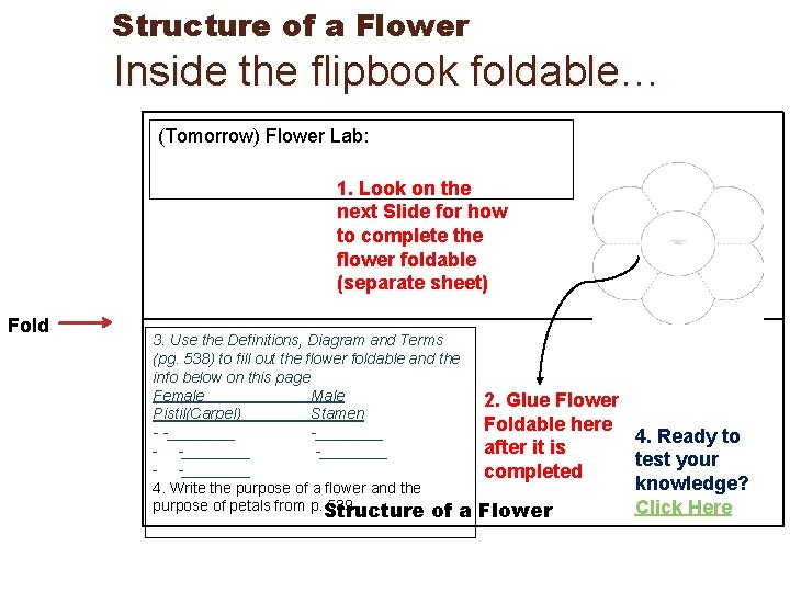 Plant Kingdom websites and page numbers are embedded
