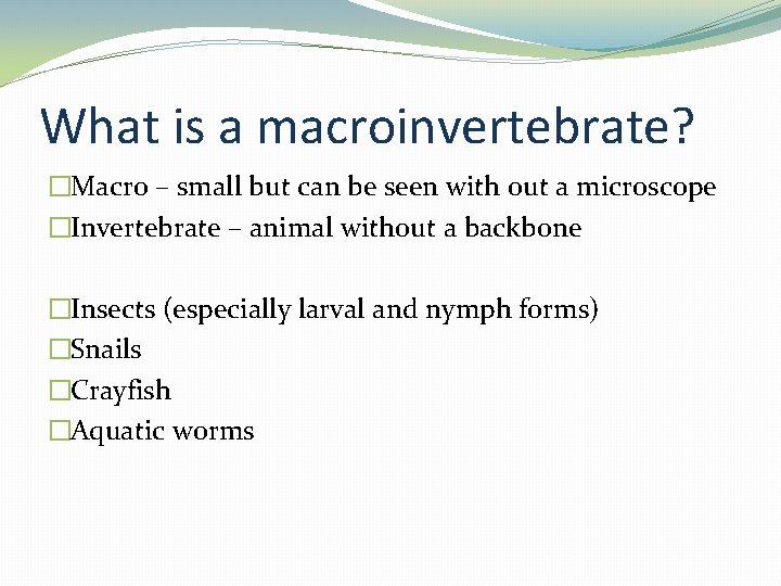 Exploring Water Quality Macroinvertebrate Identification Sections of a