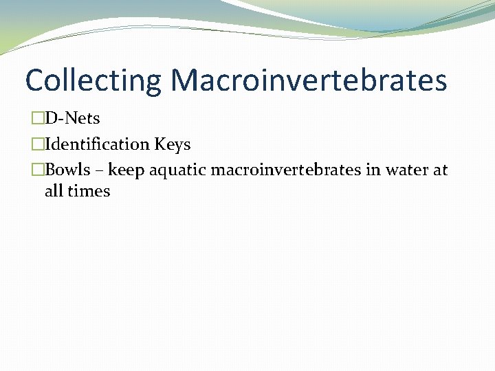Exploring Water Quality Macroinvertebrate Identification Sections of a