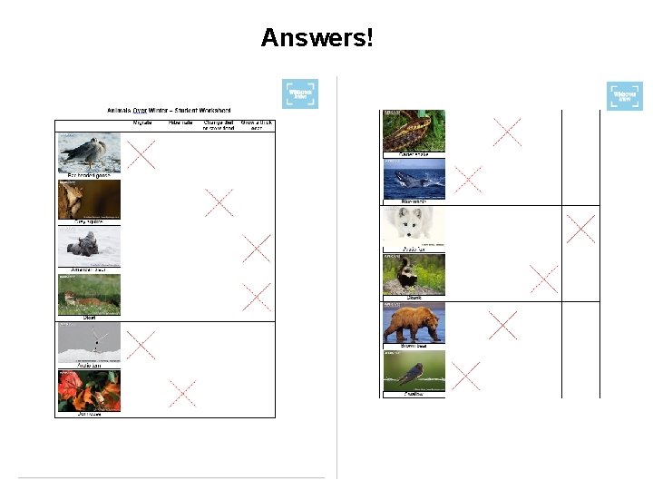 Animals over Winter How do habitats change Temperature