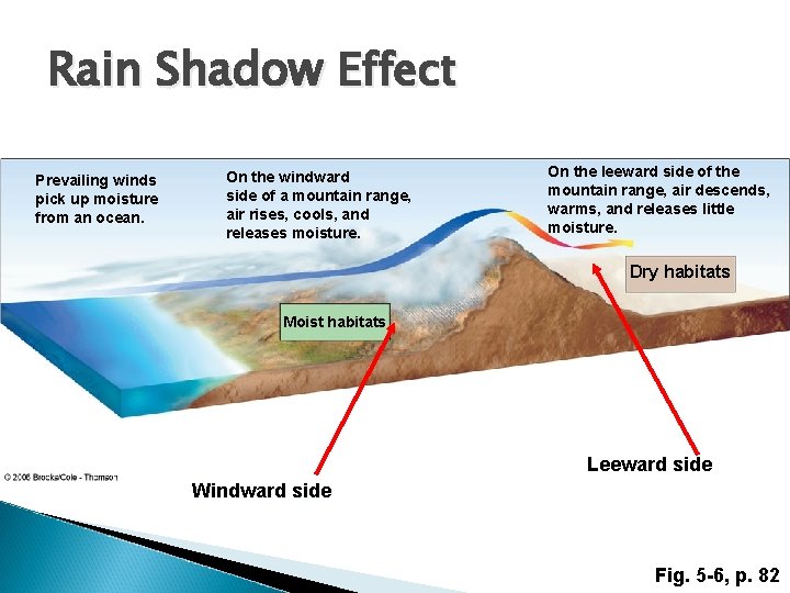 Climate and Biodiversity Chapter 5 Sections 1 4
