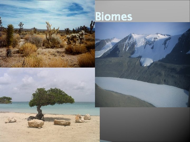 Climate and Biodiversity Chapter 5 Sections 1 4