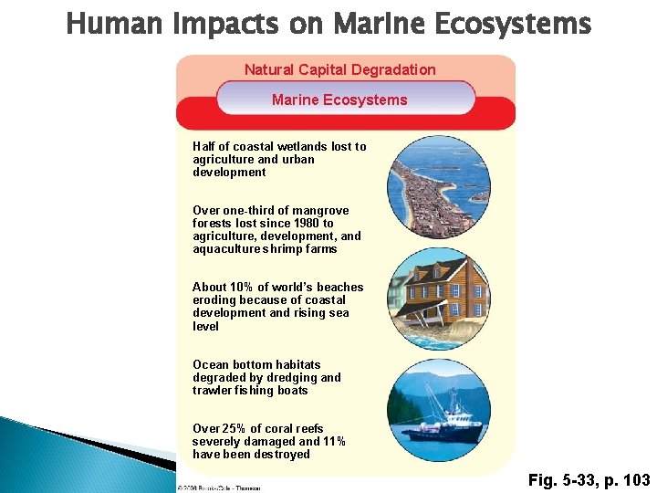 Climate and Biodiversity Chapter 5 Sections 1 4