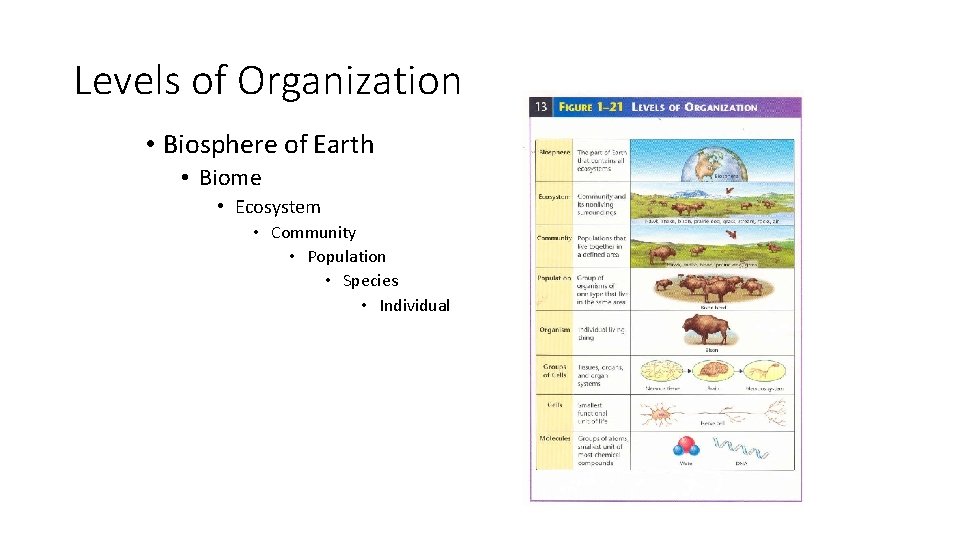 Chapter 3 The Biosphere What is Ecology PreQuiz