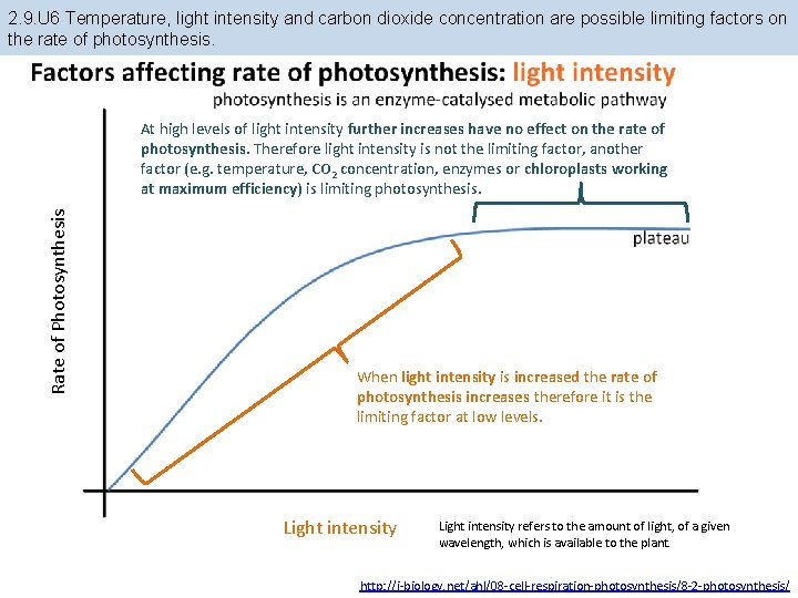 2 9 Photosynthesis The background is an microscope