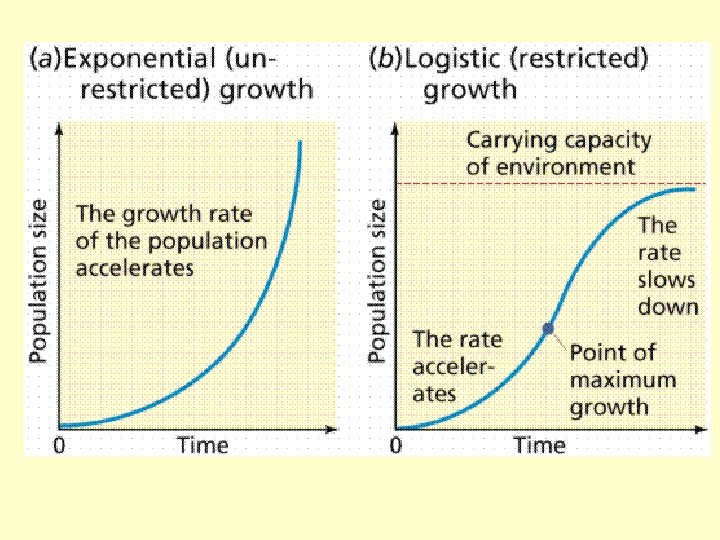 Classification Evolution and Populations Review Biology AIR Test