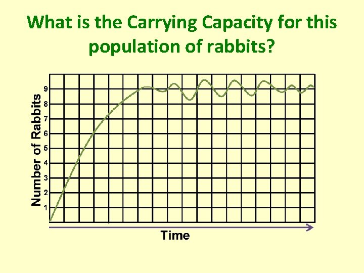 Classification Evolution and Populations Review Biology AIR Test