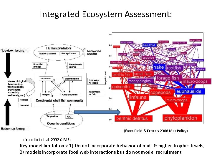 Integration of Ocean Observations into an Ecosystem Approach